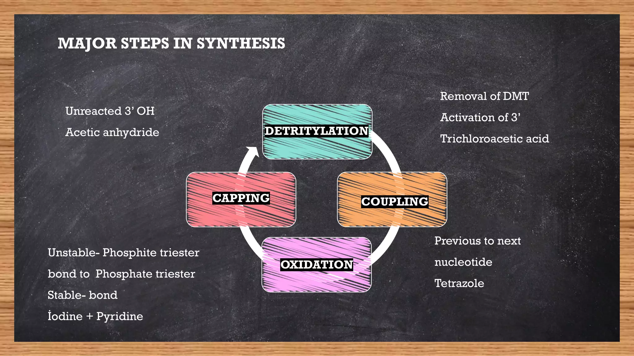 Synthesis of oligonucleotides by phosphoramidite method | PDF