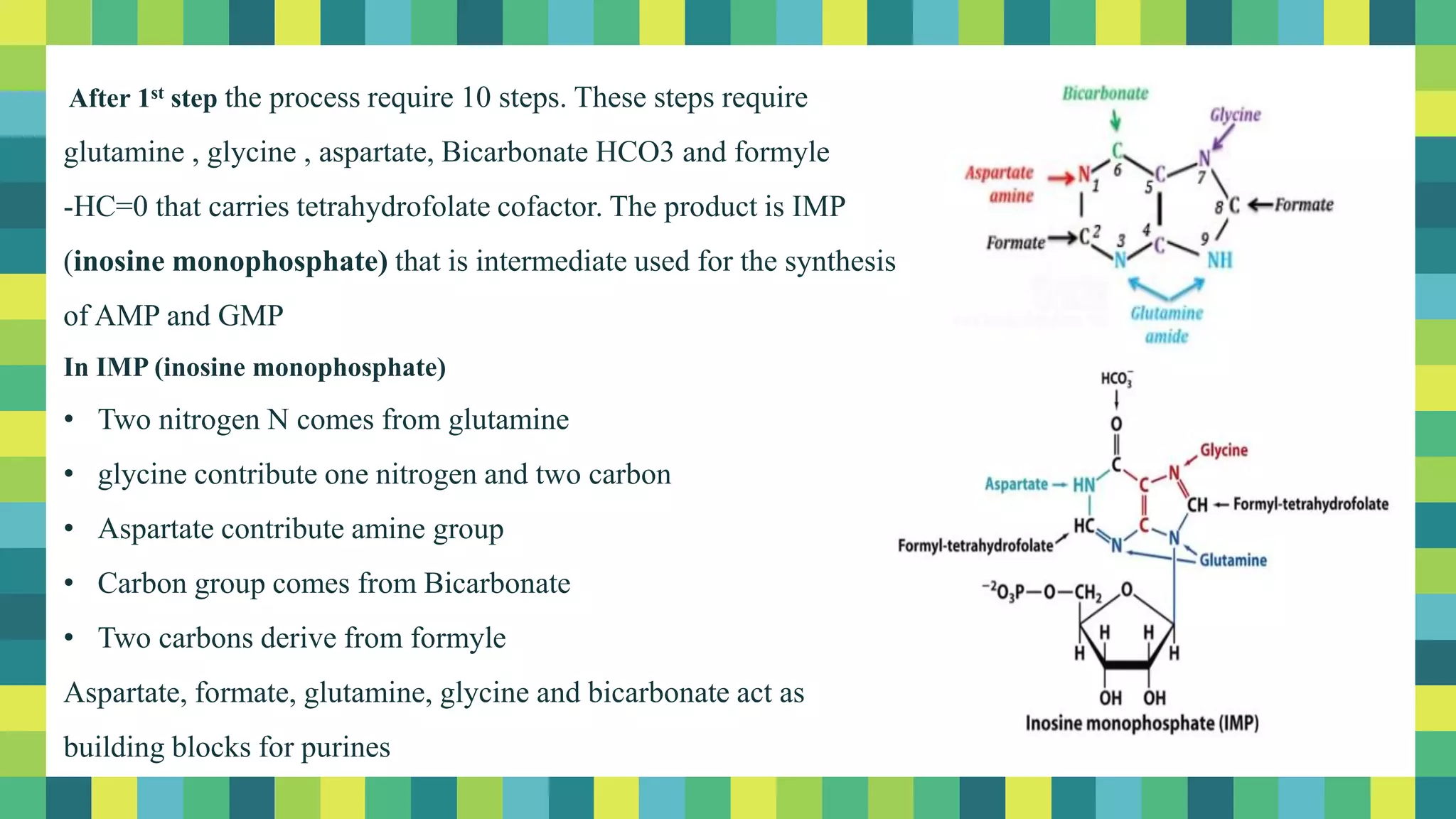 Synthesis of purines and pyrimidines | PDF