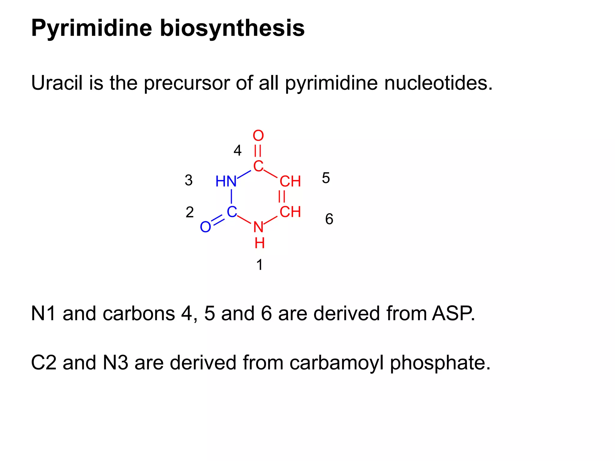 Synthesis of pyramidine.ppt