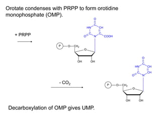 Synthesis of pyramidine.ppt
