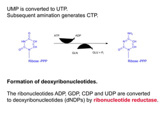 Synthesis of pyramidine.ppt