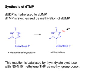 Synthesis of pyramidine.ppt