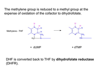 Synthesis of pyramidine.ppt