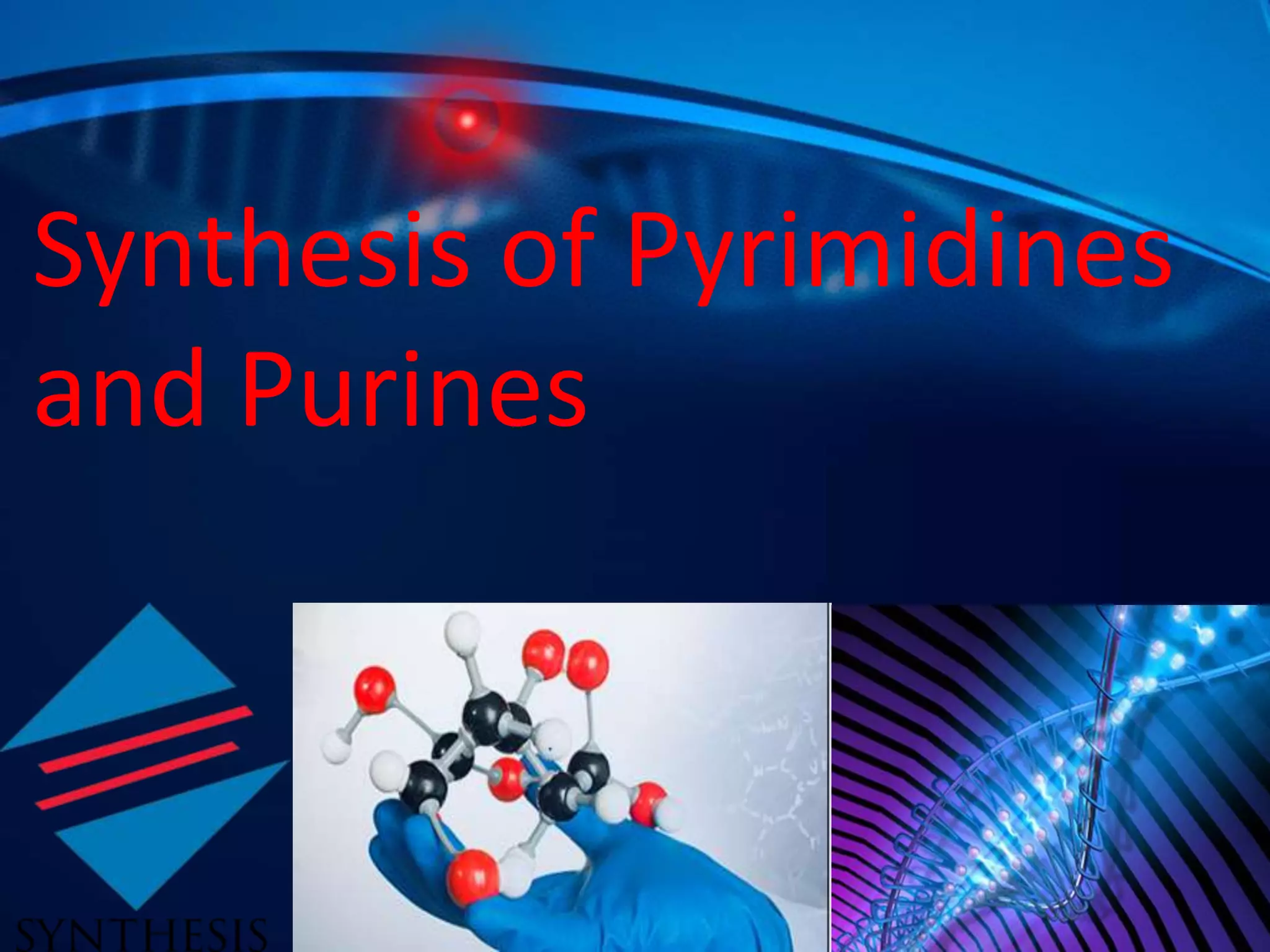 Synthesis of pyrimidines and purines | PPTX
