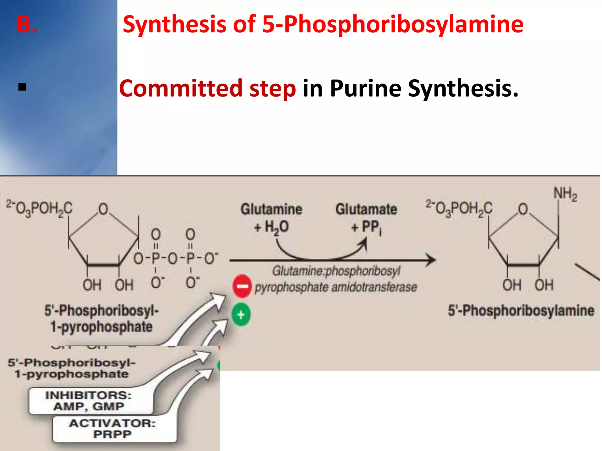 Synthesis of pyrimidines and purines | PPTX