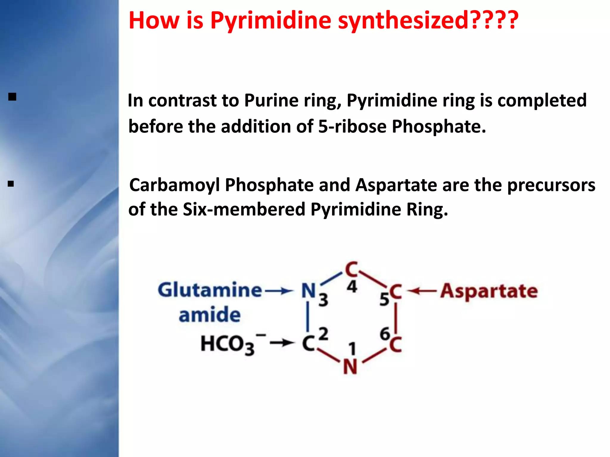 Synthesis of pyrimidines and purines | PPTX