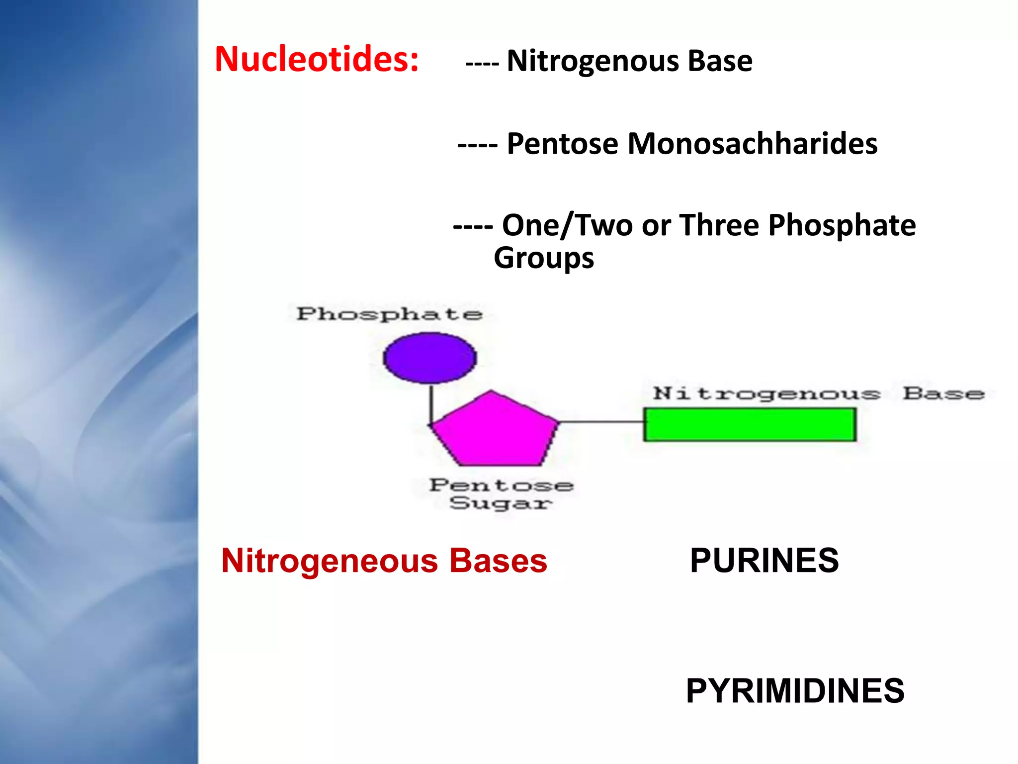Synthesis of pyrimidines and purines | PPTX