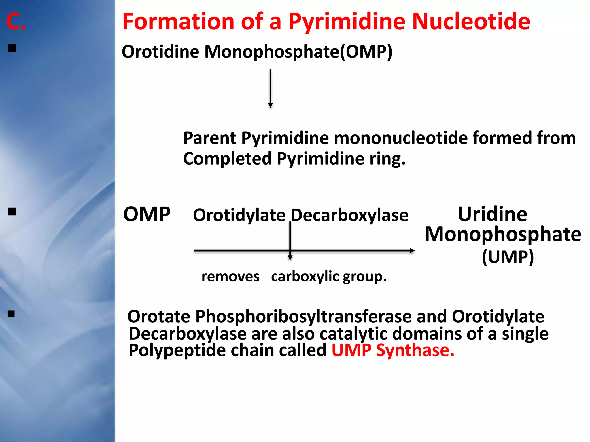 Synthesis of pyrimidines and purines | PPTX