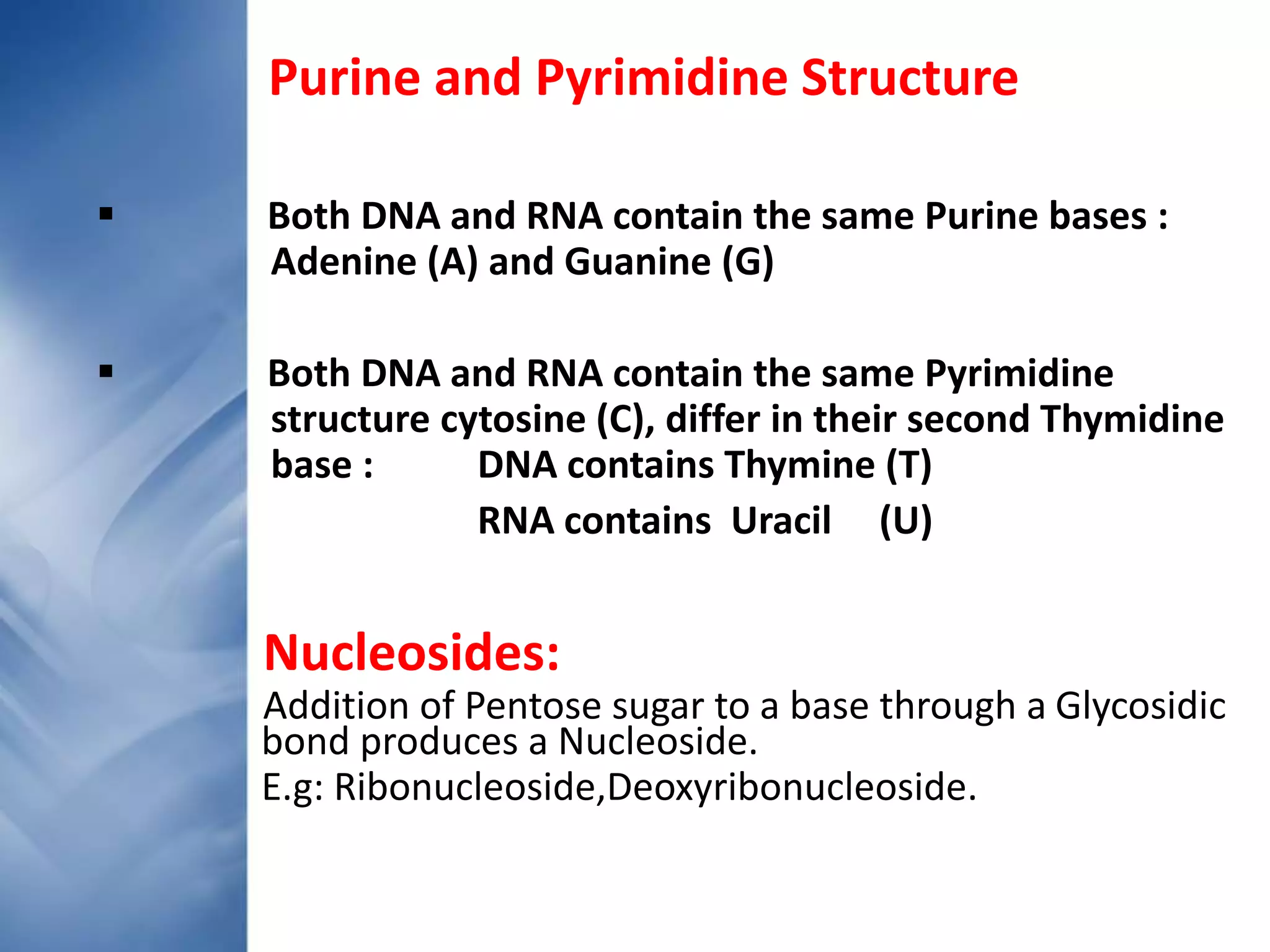 Synthesis of pyrimidines and purines | PPTX