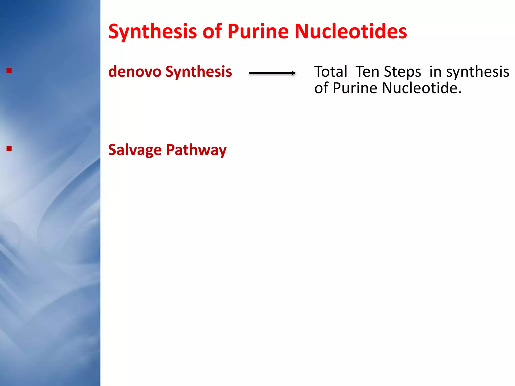 Synthesis of pyrimidines and purines | PPTX