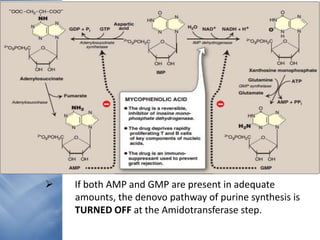 Synthesis of pyrimidines and purines | PPTX