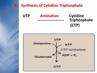 Synthesis of pyrimidines and purines | PPTX