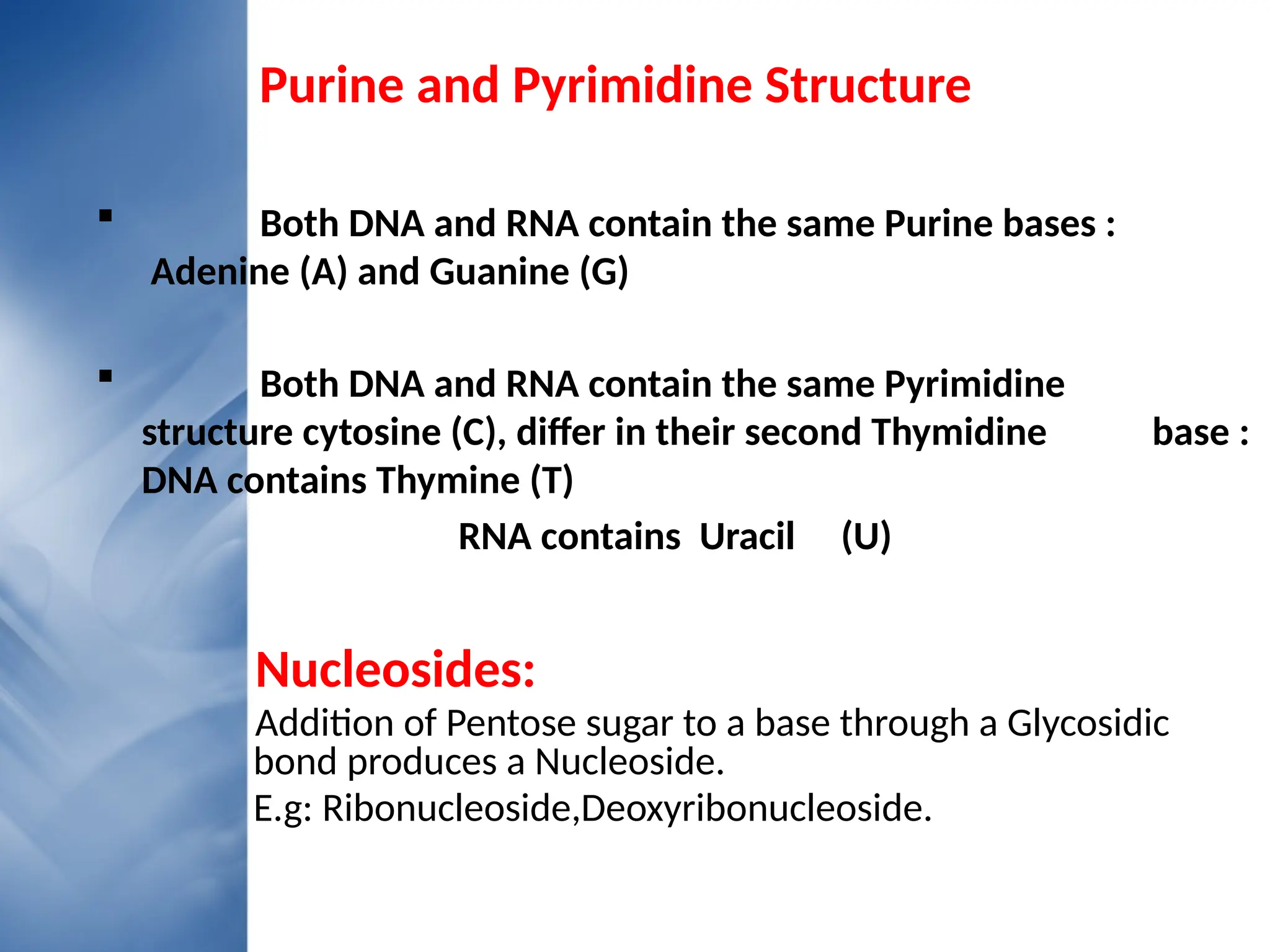 Synthesis of Pyrimidines and Purines.pptx