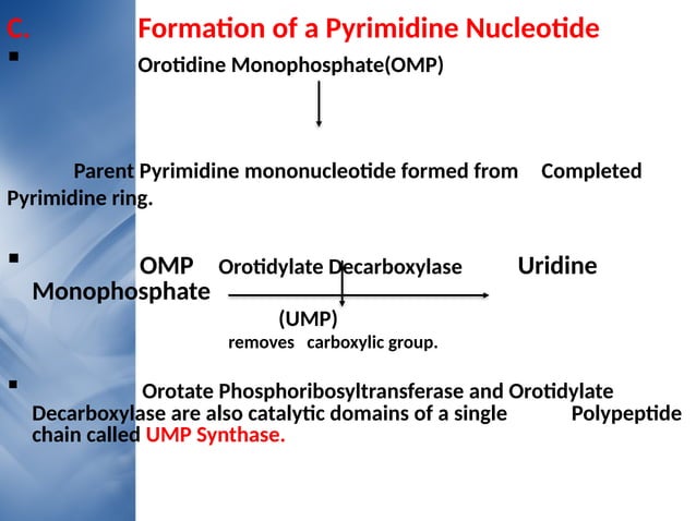 Synthesis of Pyrimidines and Purines.pptx | Chemistry | Science
