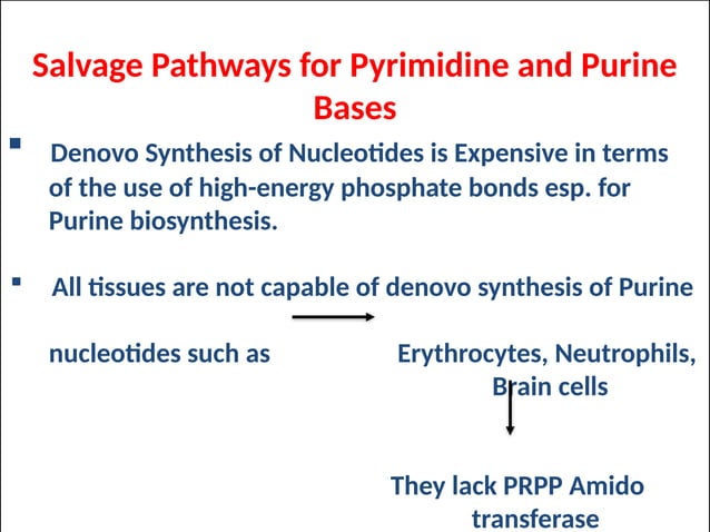 Synthesis of Pyrimidines and Purines.pptx | Chemistry | Science
