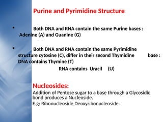 Synthesis of Pyrimidines and Purines.pptx