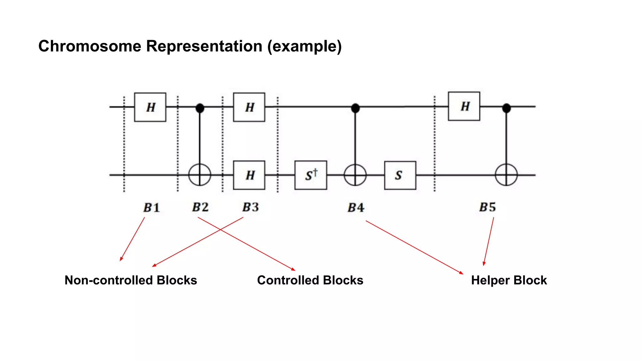 Synthesis of Quantum Circuits with an Island Genetic Algorithm.pdf | Genetics | Science