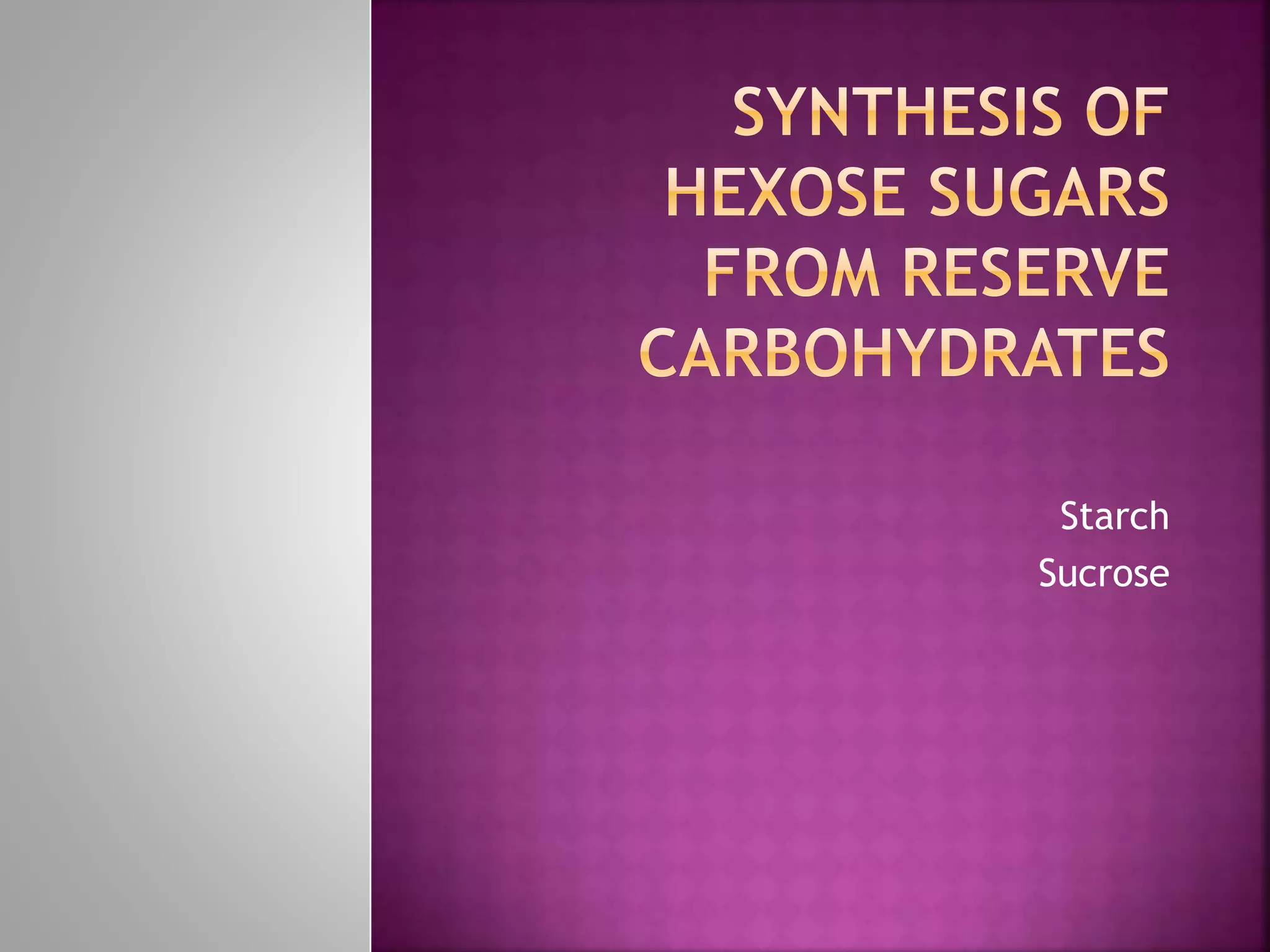 Synthesis of Sucrose and Starch synthesis | PPTX