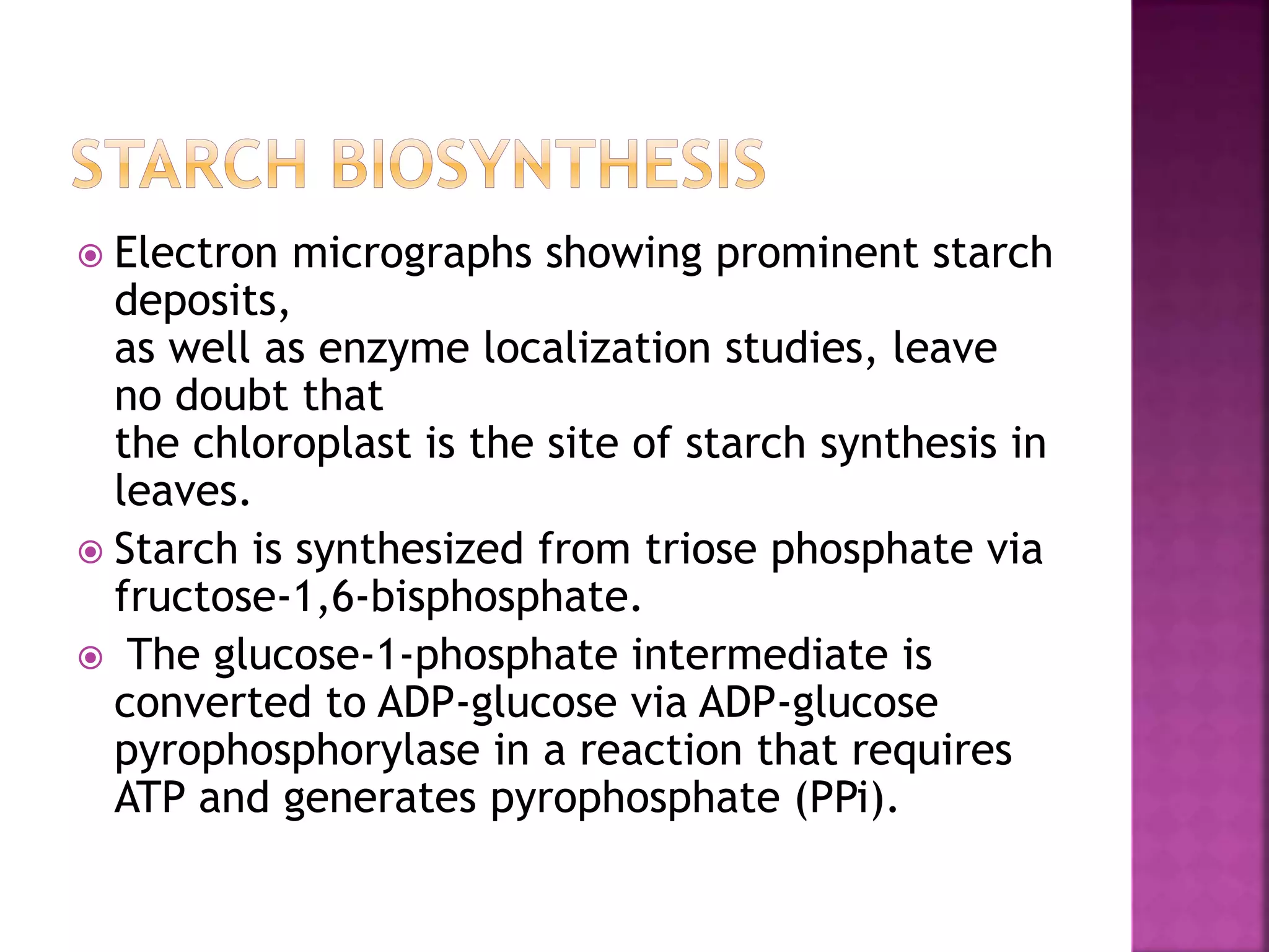 Synthesis of Sucrose and Starch synthesis | PPTX
