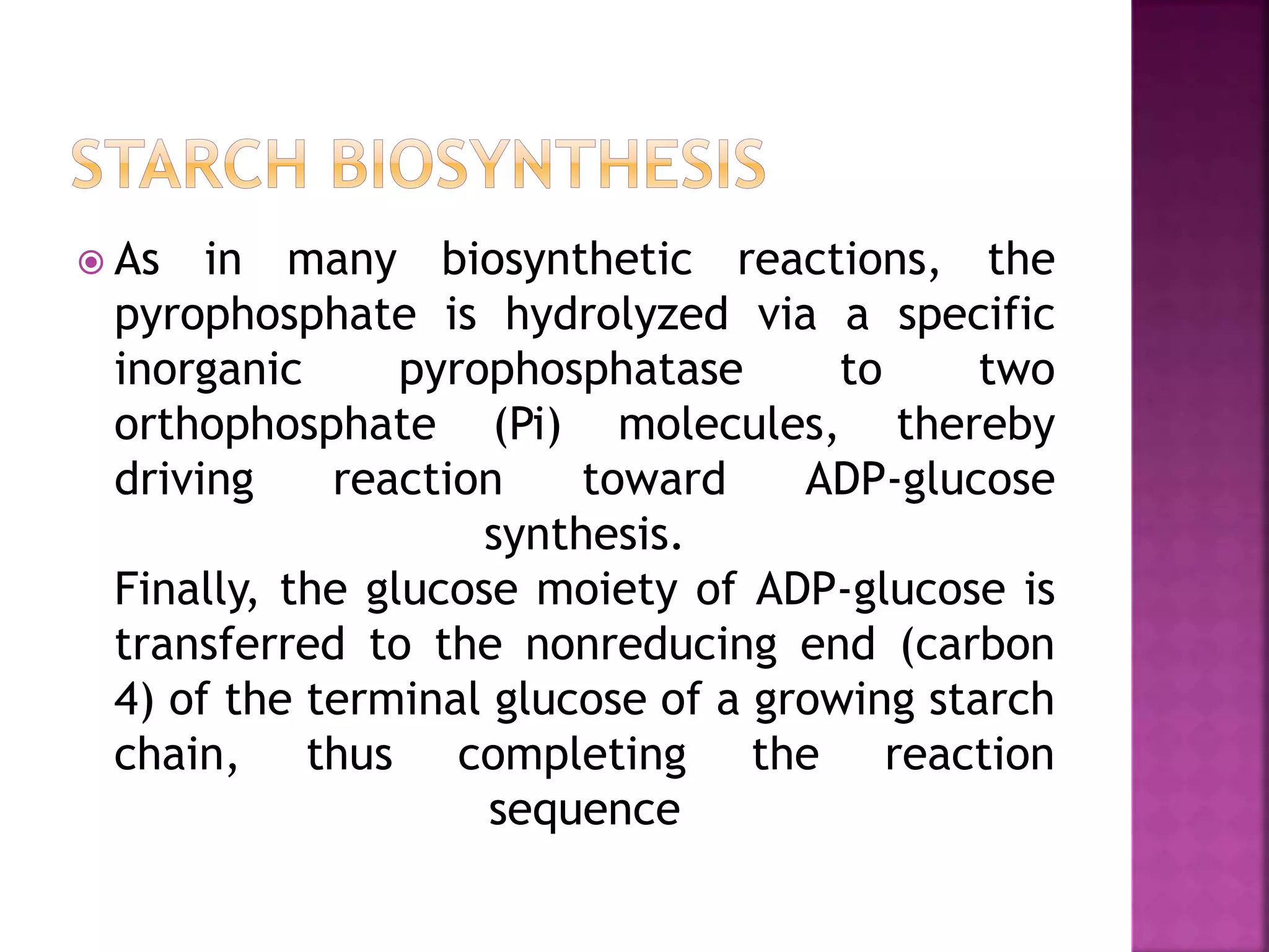 Synthesis of Sucrose and Starch synthesis | PPTX