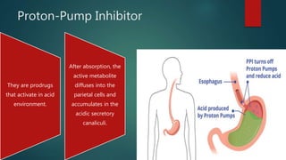 Synthesis of thyroid hormone & proton pump inhibitors (PPI) | PPT ...