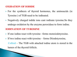 Synthesis of thyroid hormones | PPTX