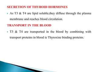Synthesis of thyroid hormones | PPTX