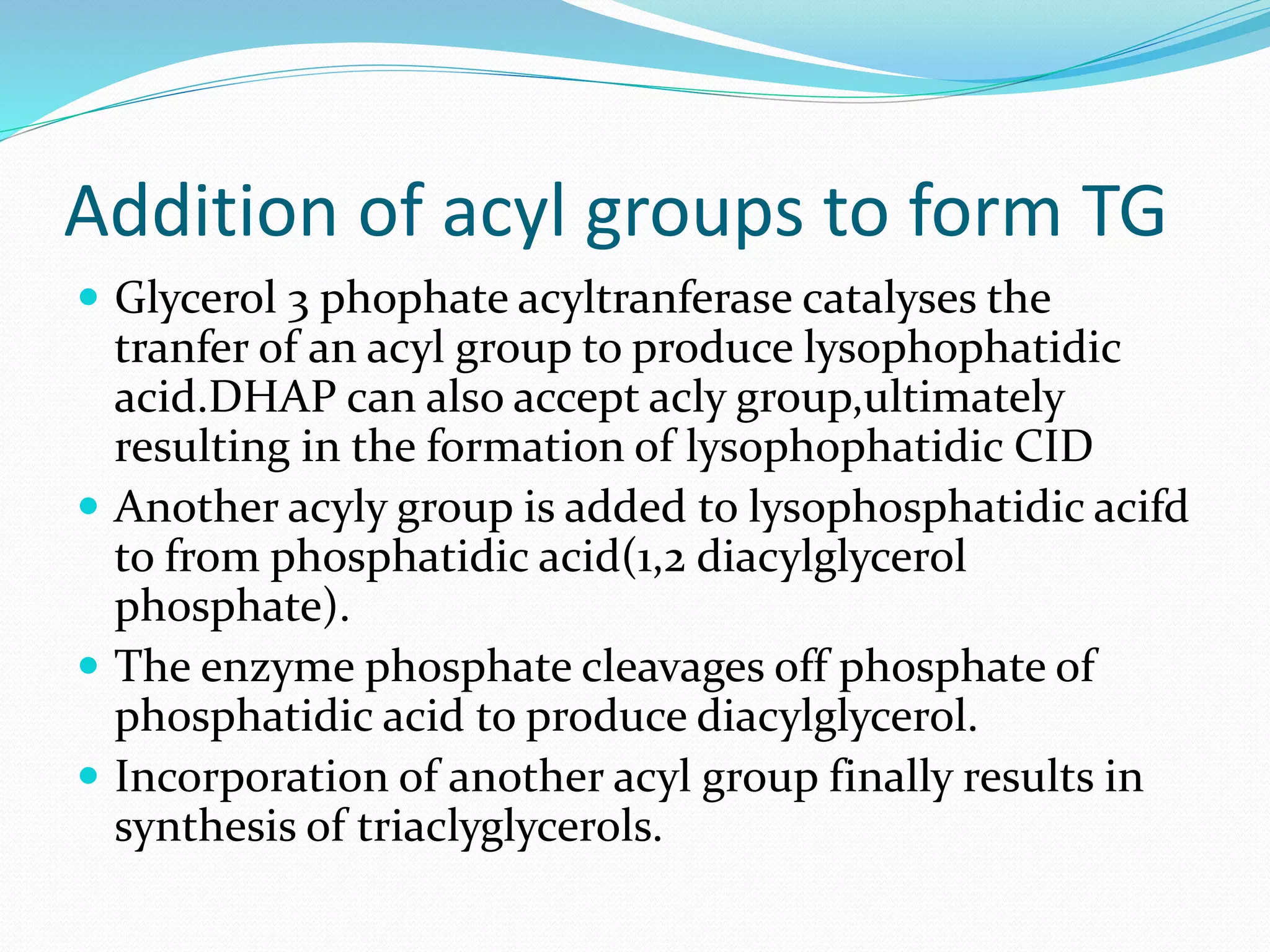 Synthesis of triacyl | PPT