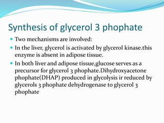 Synthesis of triacyl | PPT