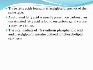 Synthesis of triacyl | PPT