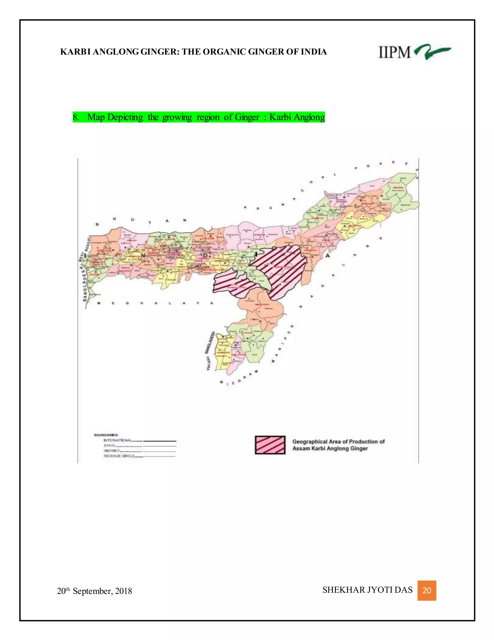 Karbi Anglong Ginger : The Organic Ginger of India | DOCX