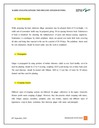 Karbi Anglong Ginger : The Organic Ginger of India | DOCX