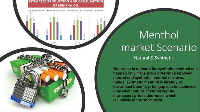Natural & Synthetic menthol Databases | PDF | Commodities | Economy