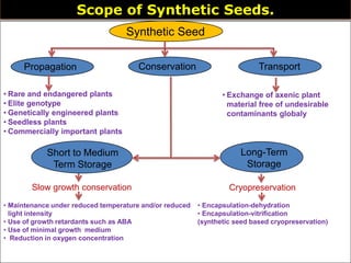 SYNTHETIC-SEED Tissue culture methods BSc Botany pdf | PPT