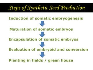 SYNTHETIC-SEED Tissue culture methods BSc Botany pdf | PPT | Free Download