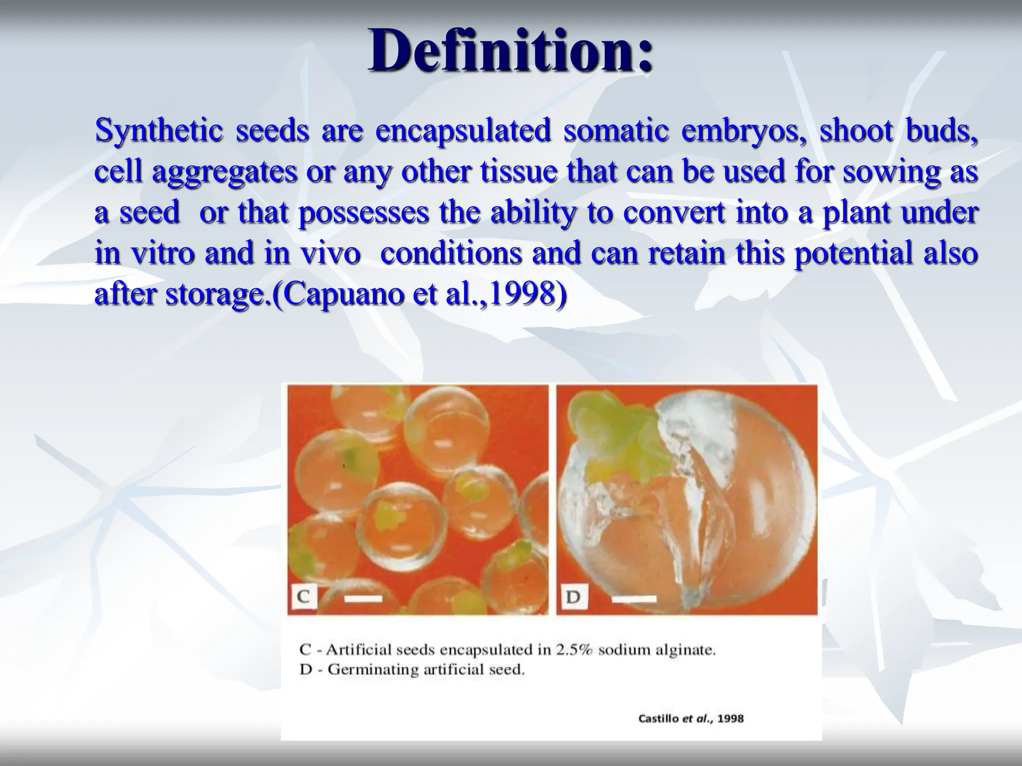 Synthetic-Seeds-.ppt