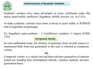Synthetic and Composites p........................pt.pptx