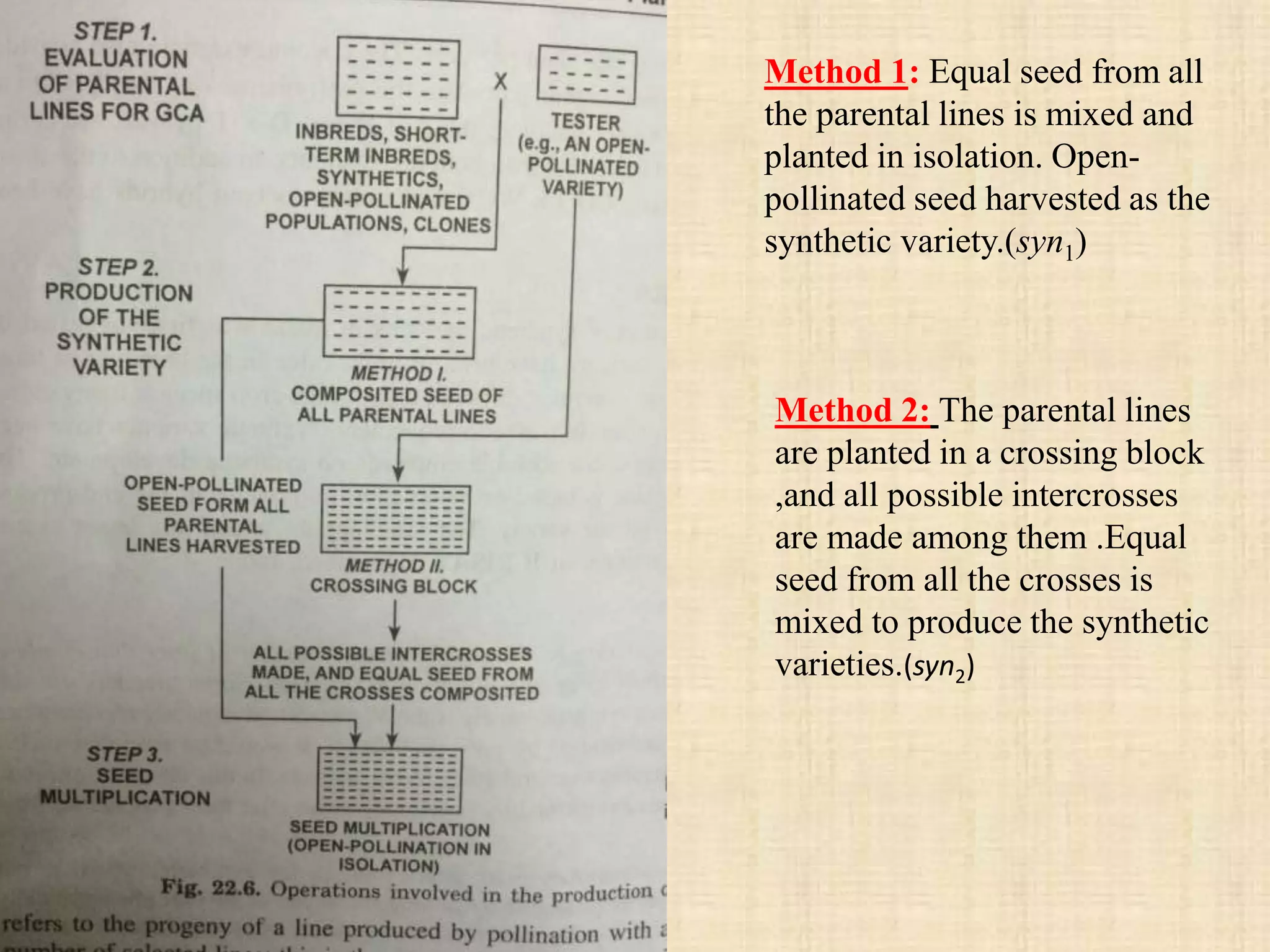 Synthetic and composite variety | PPTX