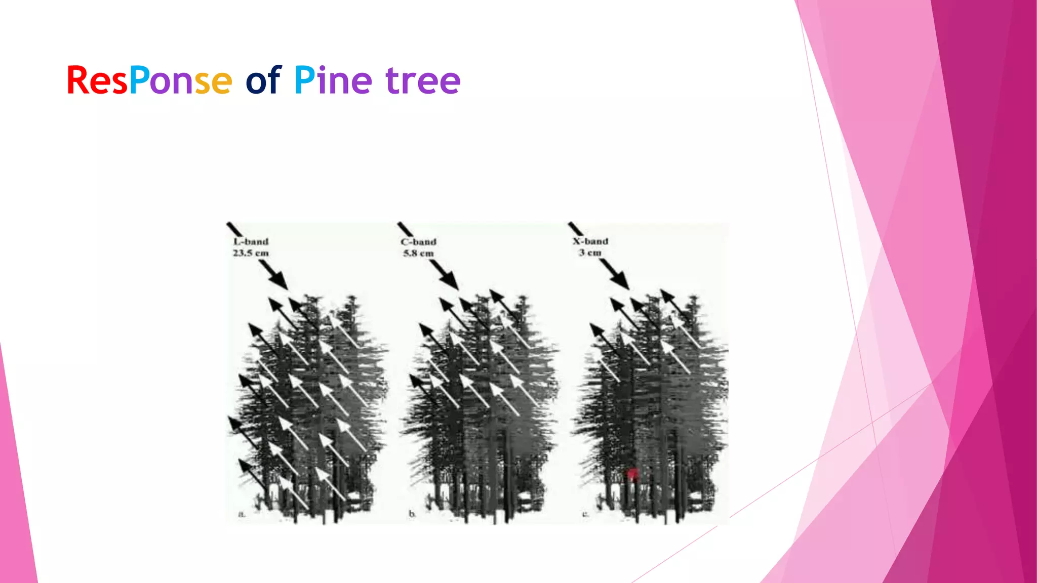 Synthetic aperature radar | PPTX