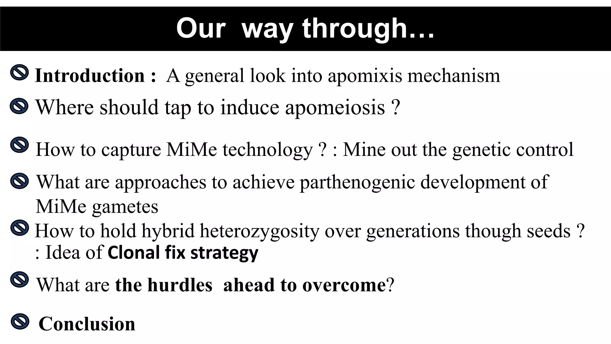 synthetic apomixis by gene editing | PPTX