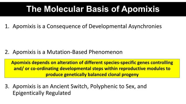 synthetic apomixis by gene editing | PPTX | Genetics | Science