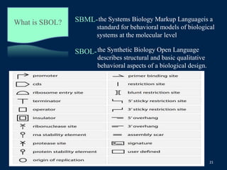 Synthetic biology | PPTX