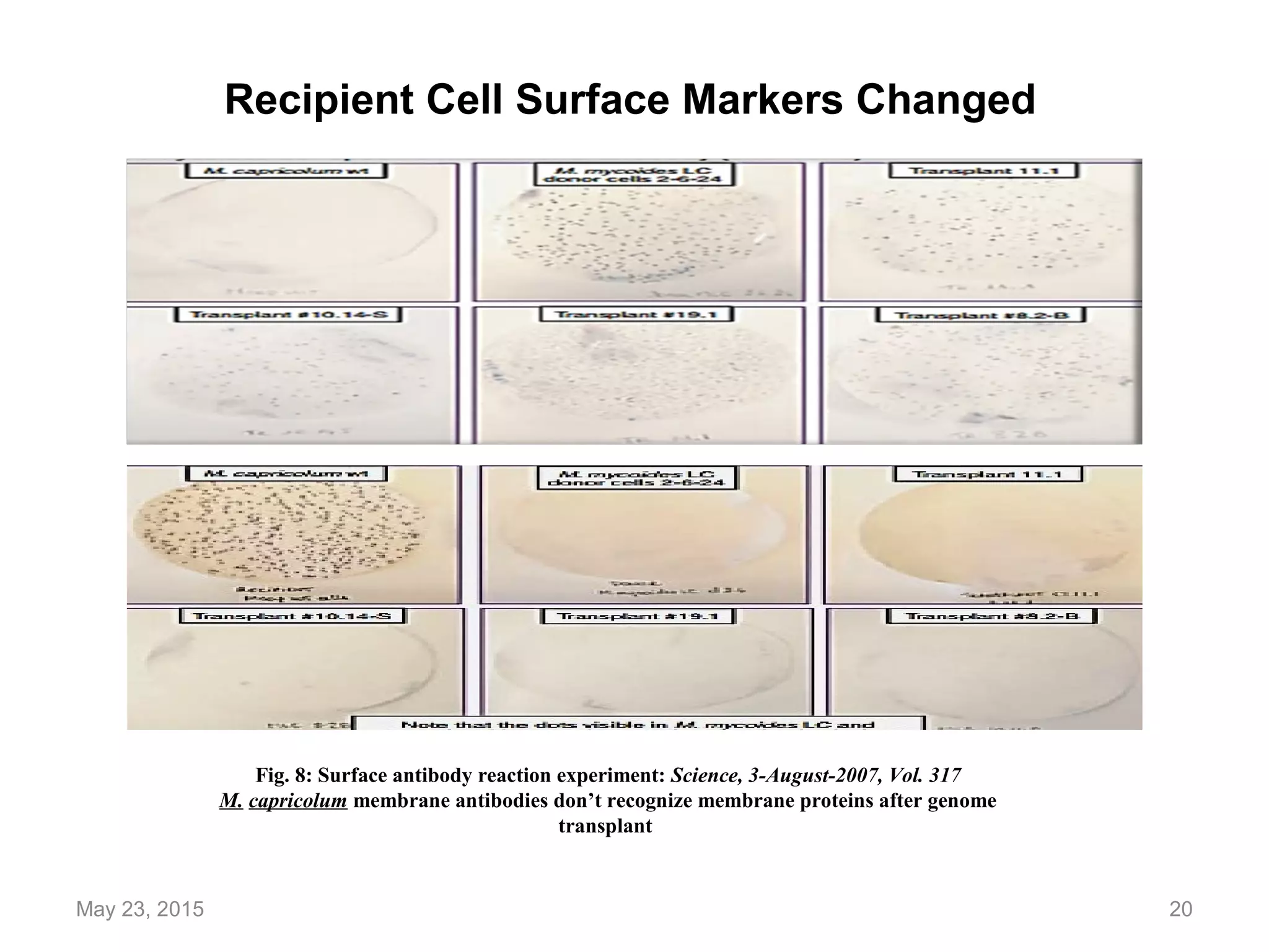 Synthetic biology: Concepts and Applications | PPT