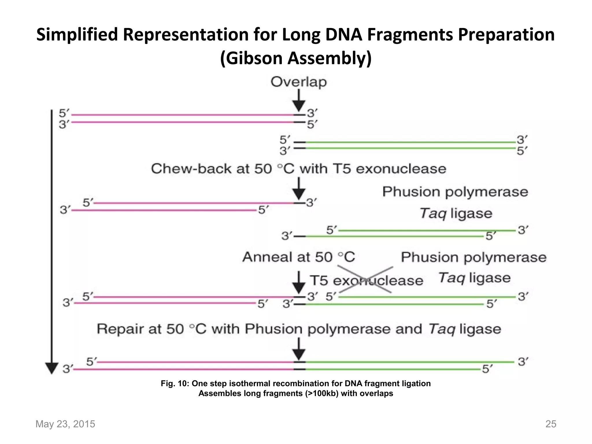 Synthetic biology: Concepts and Applications | PPT