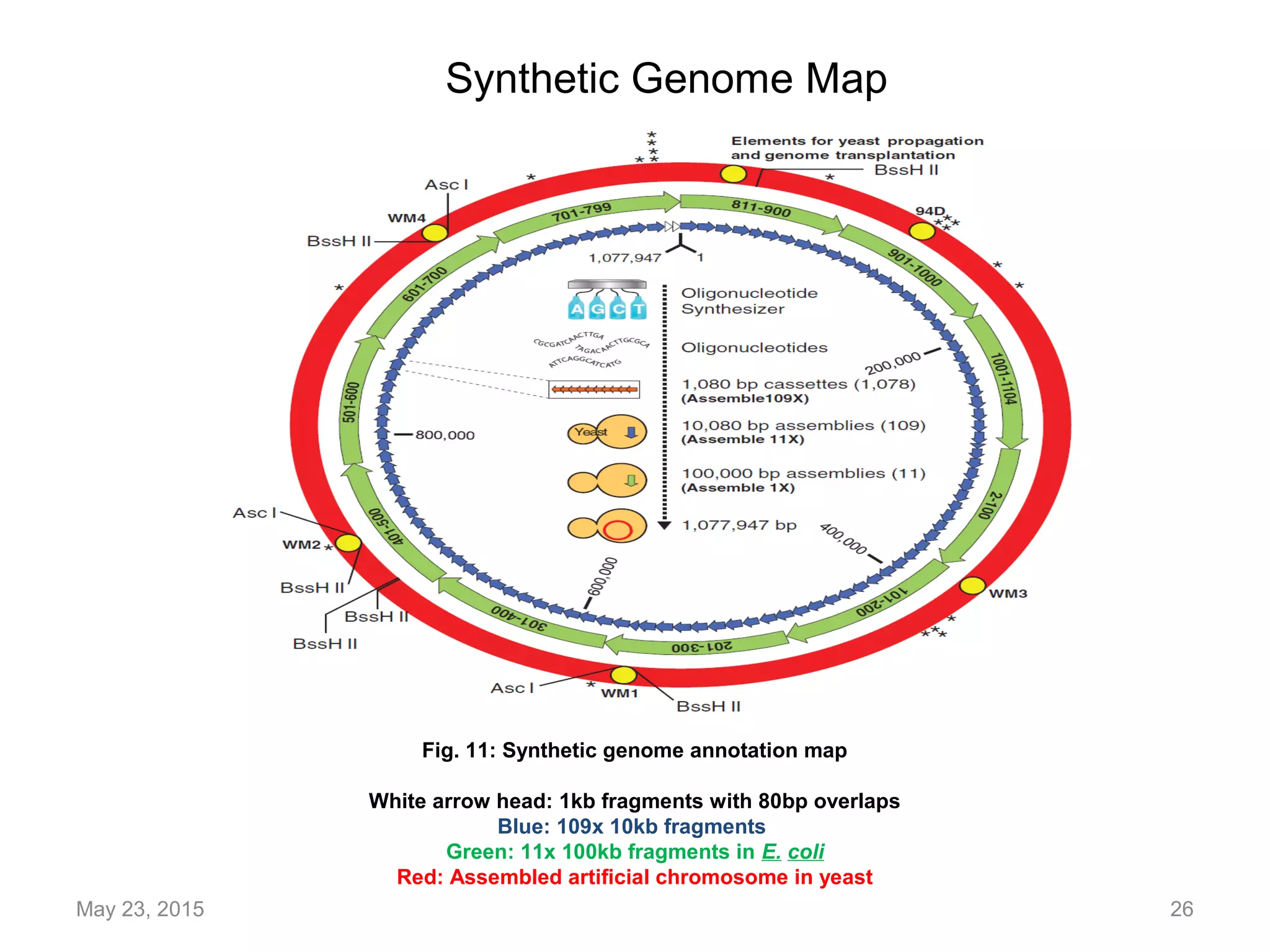 Synthetic biology: Concepts and Applications | PPT