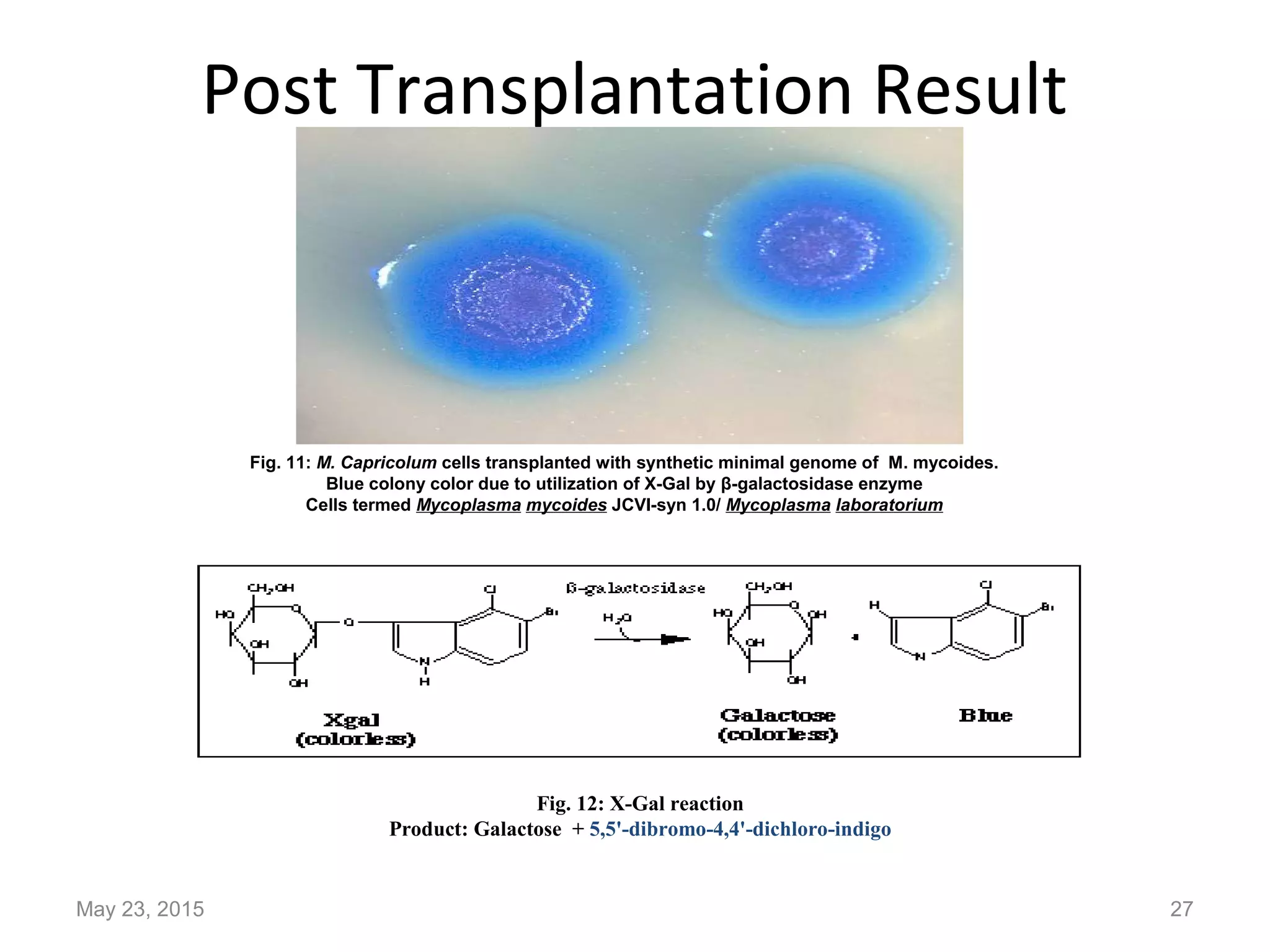 Synthetic biology: Concepts and Applications | PPT