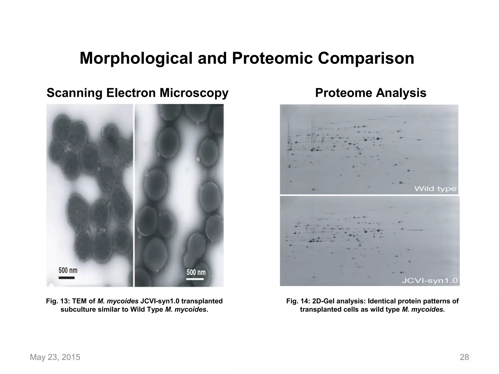 Synthetic biology: Concepts and Applications | PPT