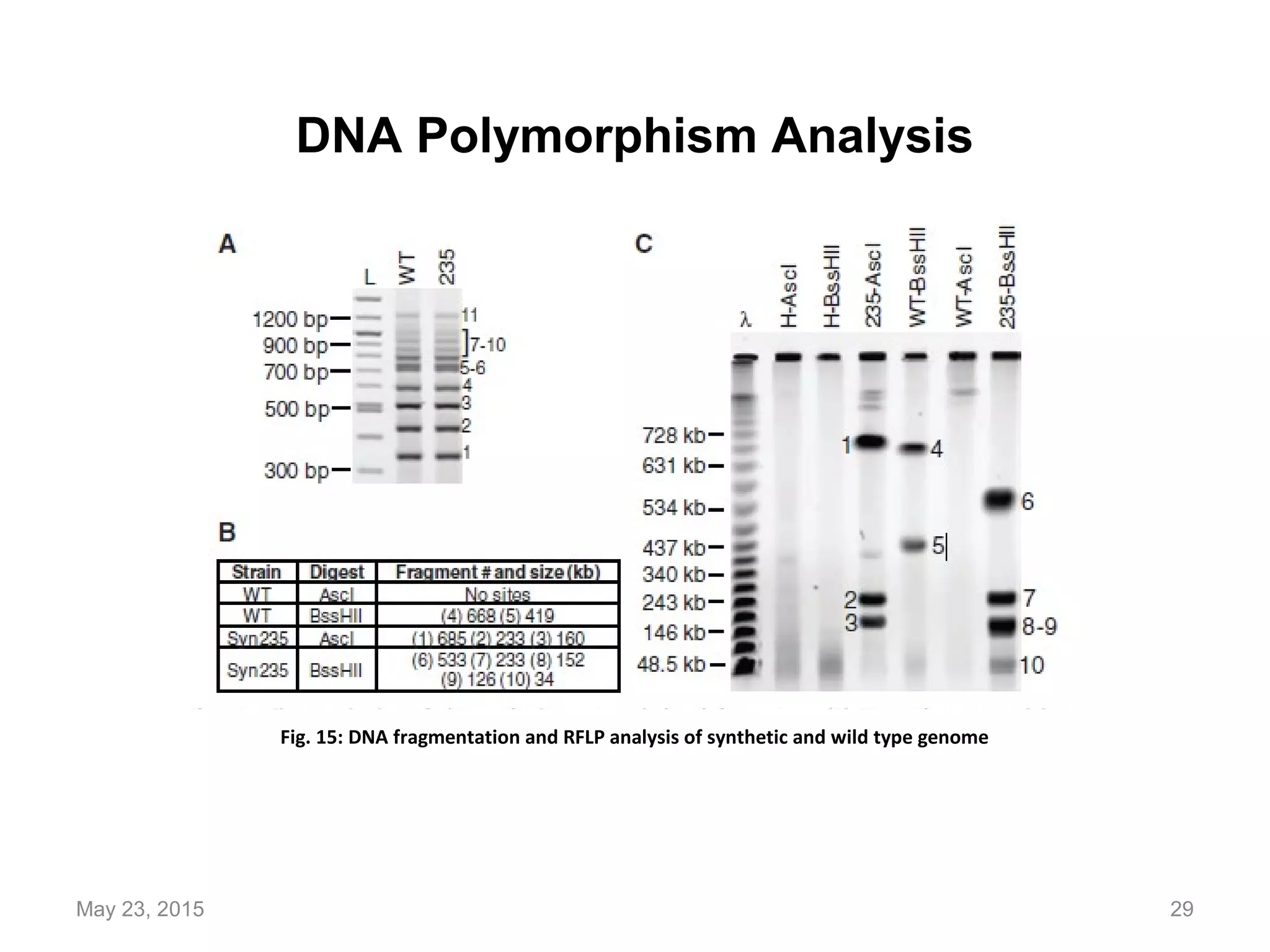 Synthetic biology: Concepts and Applications | PPT