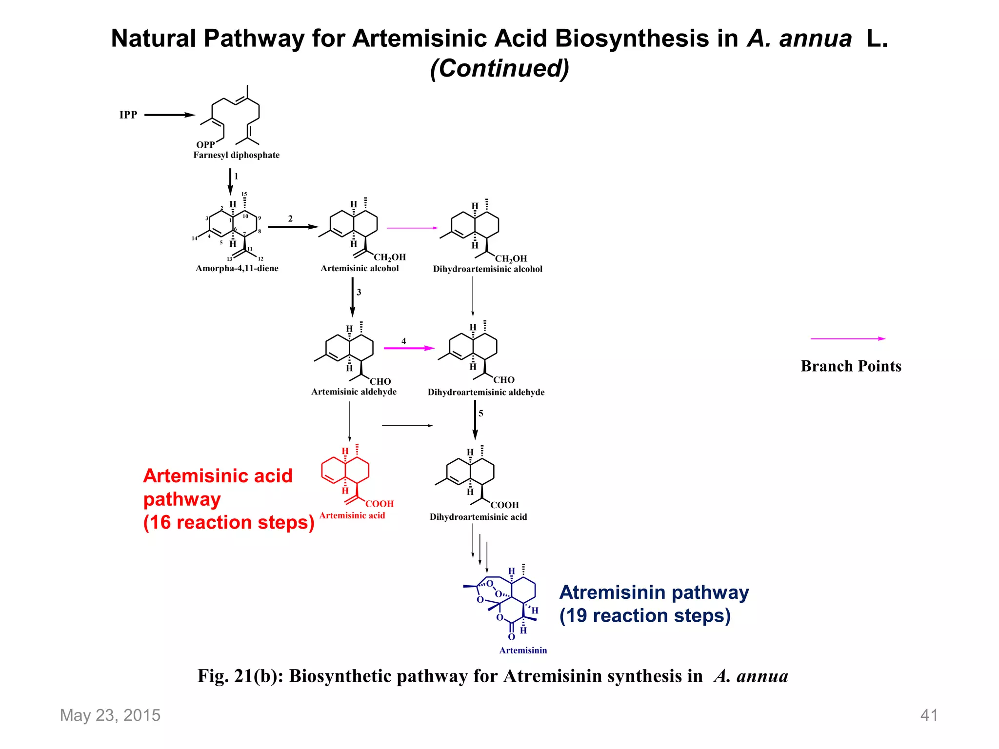 Synthetic biology: Concepts and Applications | PPT