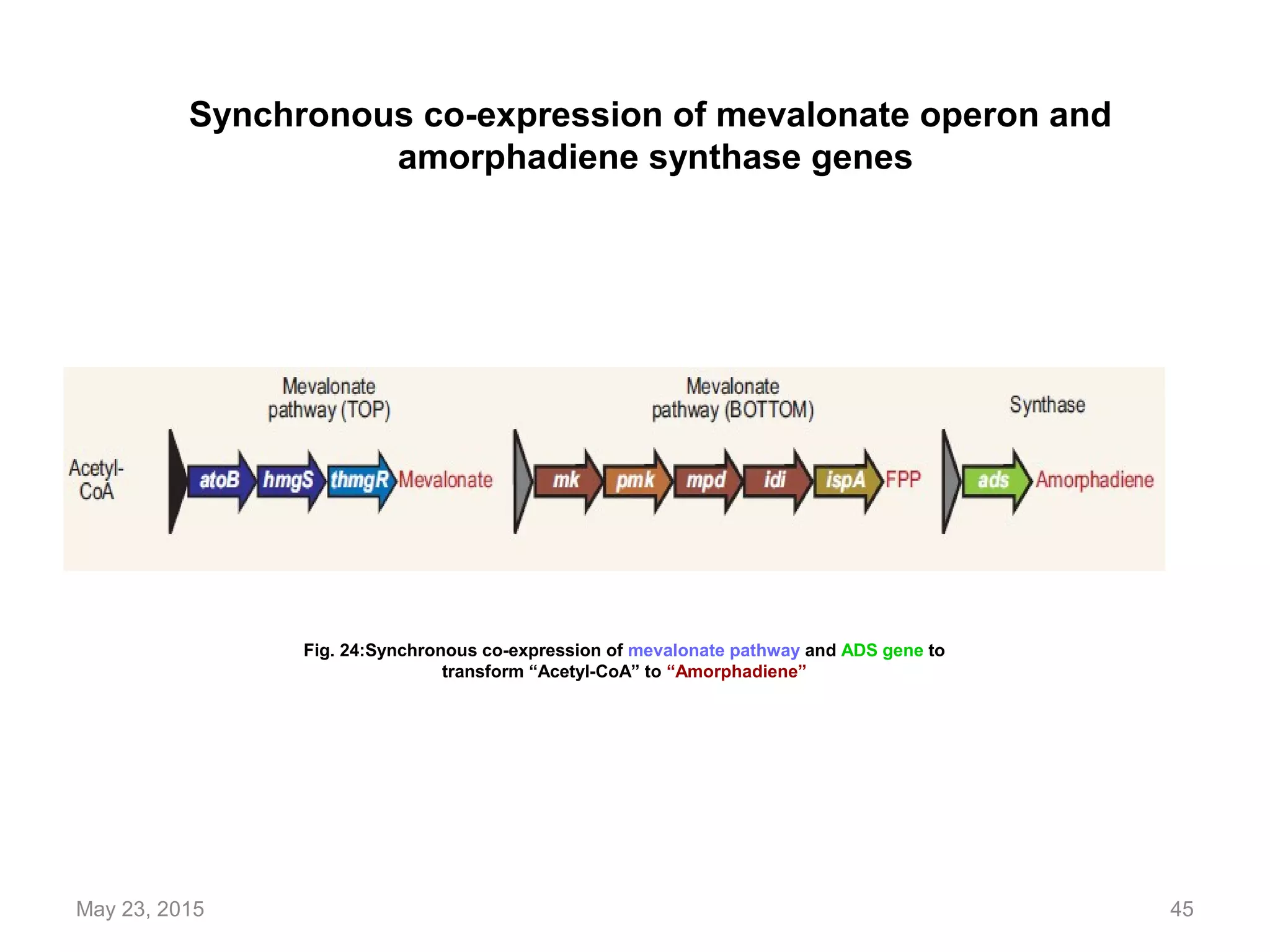 Synthetic biology: Concepts and Applications | PPT